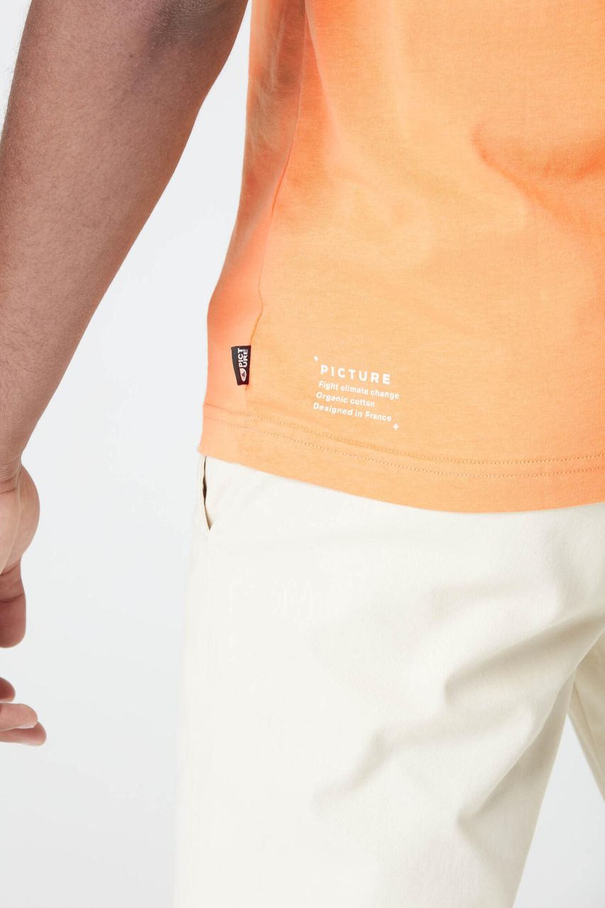 Picture Basement Guinea Tee | SportFits Shop