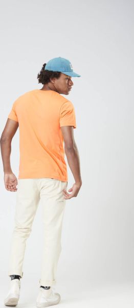 Picture Basement Guinea Tee | SportFits Shop