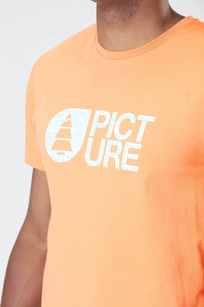 Picture Basement Guinea Tee | SportFits Shop