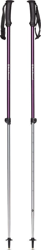 Black Diamond Trail Explorer 2 Trek Poles | SportFits Shop