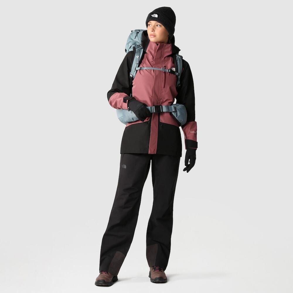 The north face dryzzle pants store