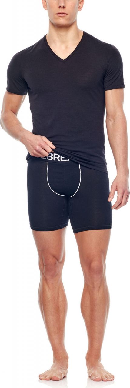 Icebreaker Mens Anatomica Zone Long Boxers | SportFits Shop