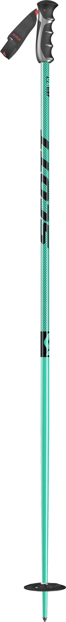Scott Pole Team Issue - Ski poles | SportFits Shop